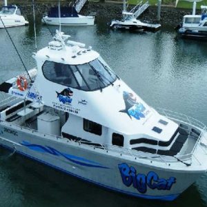 Our Boat – Fishing charters in Brisbane. Bigcat is Brisbane's leading ...